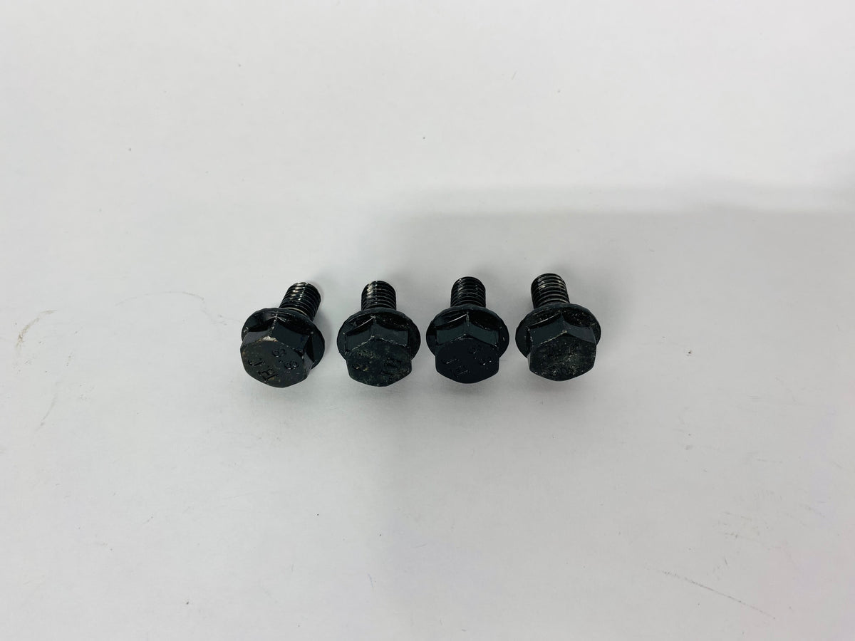 Life Fitness FTR Treadmill Motor Mount Bolt Set (HP125)